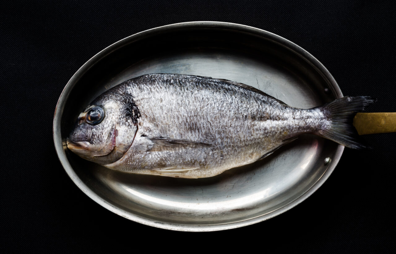 Mediterranean fish - LE MONDE